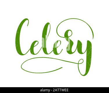 Vector hand written celery text isolated on white background. Kitchen ...