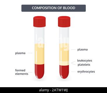 Medical test tubes with blood in rack. Transparent glass flasks. Vector ...