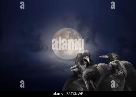 Full moon night with crows Stock Photo - Alamy