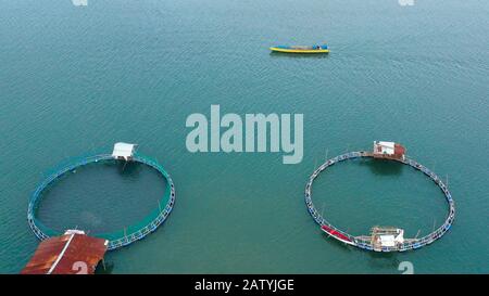 Aerial view of fish ponds for bangus, milkfish. Fish farm, top view ...