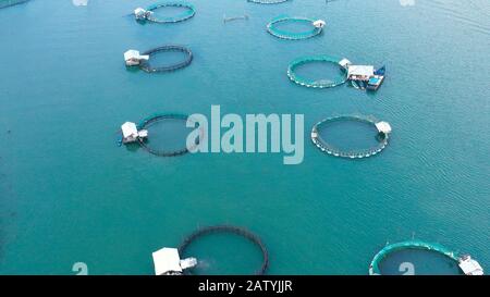 Aerial view of fish ponds for bangus, milkfish. Fish farm, top view ...