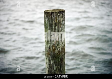 Wooden mooring post surrounded by ocean Stock Photo - Alamy