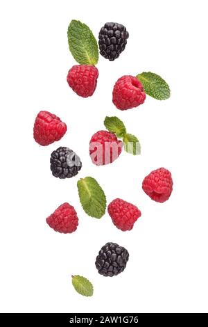 Mix of different berries isolated on white background Stock Photo - Alamy