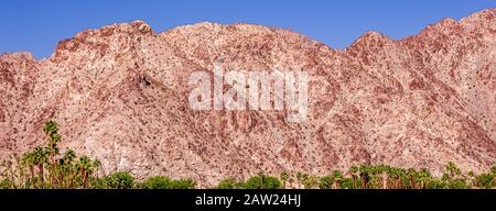 San Jacinto mountain and coconut trees in Palm Springs, California, usa ...