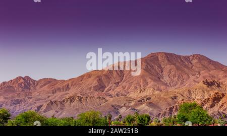 San Jacinto mountain and coconut trees in Palm Springs, California, usa ...