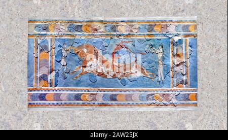 Minoan fresco. Bull leaping, 1600-1450 BC, from Knossos palace. Acrobat ...