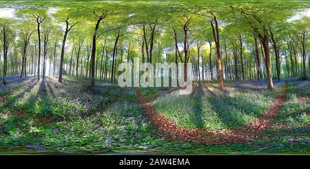 360° view of Micheldever woods in Springtime - Alamy