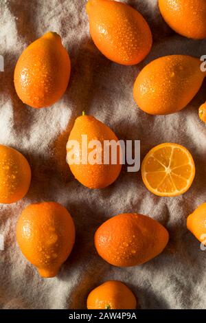 Raw Organic Orange Kumquat Mandarinquats Ready to Eat Stock Photo - Alamy