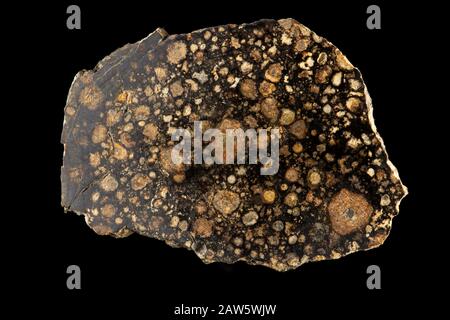 Carbonaceous chondrite meteorite, Northwest Africa 7454 (NWA 7454, CV3 ...