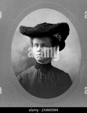 NETTIE STEVENS (1861-1912) American geneticist Stock Photo - Alamy