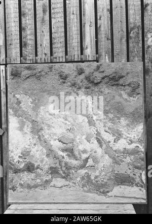 Soil profile, Podsol Soil profile, Podsol Stock Photo - Alamy