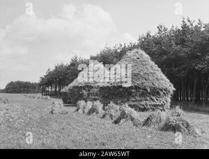 mining, sowing and harvesting crops, hay, Loil Date: August 1957 ...