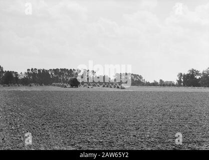 mining, sowing and harvesting crops, hay, Loil Date: August 1957 ...