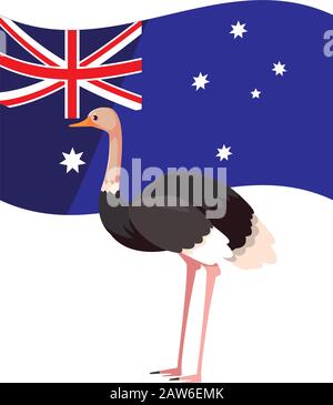 ostrich with australian flag in the background vector illustration ...