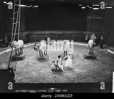 New program Circus Strassburger Carré; Karin and Ria on a floating ...