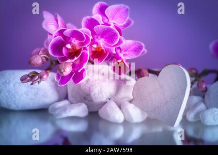 composition with orchids for Valentine's Day Stock Photo - Alamy