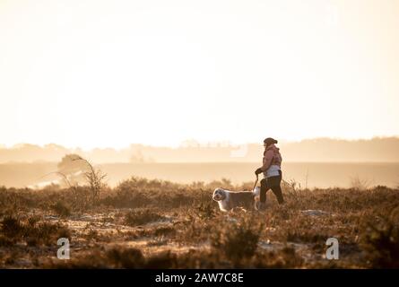 New Forest, Hampshire. 7th February 2020. UK Weather: A cold misty ...