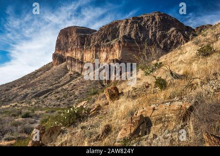 Burro Mesa massif, Chihuahuan Desert, Big Bend National Park, Texas ...