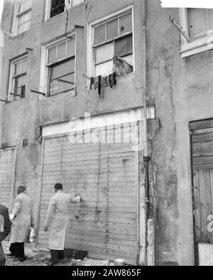 Rat control in Amsterdam, spreading the rat poison, July 21, 1965, Rats ...