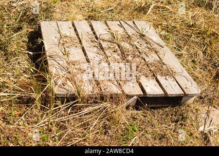 Old wooden plank background. planked bottom on the ground Stock Photo ...