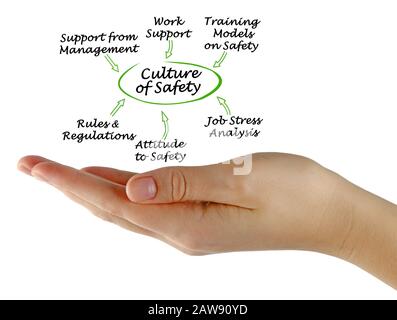 Components of Culture of Safety Stock Photo - Alamy
