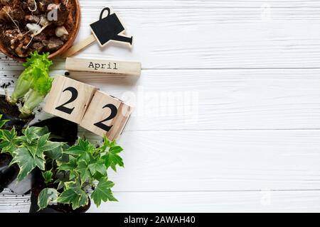 Young plants in pots, shovel, gloves for pottering on white wooden ...