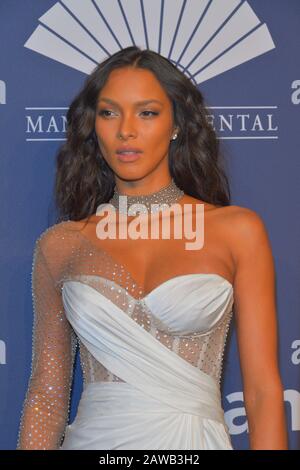 Lais Riberio attends the 2020 amfAR New York Gala in New York City ...