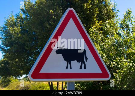 Cow traffic european sign Stock Photo - Alamy