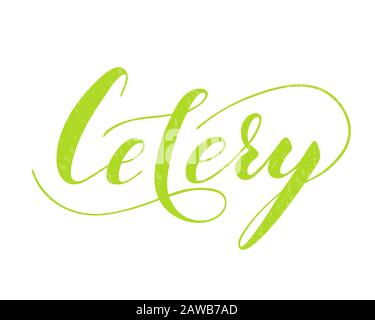 Vector hand written celery text isolated on white background. Kitchen ...