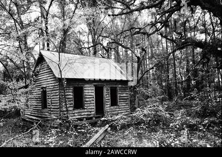 Creepy abandoned shack in the woods in winter Stock Photo - Alamy