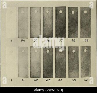 Lead acetate test for hydrogen sulphide in gas. . To test thetruth of ...