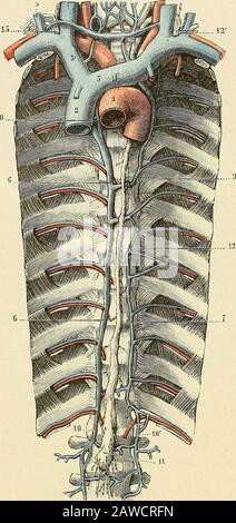 Trois des vaisseaux de La Bourdonnais devant Madras en 1746 Stock Photo ...