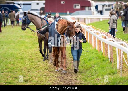 Cottenham Horse Racing Point to Point Stock Photo - Alamy
