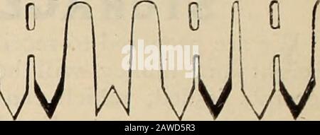 Canadian forest industries 1891 Stock Photo - Alamy