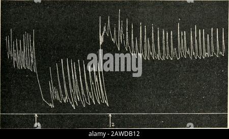 . Human physiology. Fig. 59 Stock Photo - Alamy