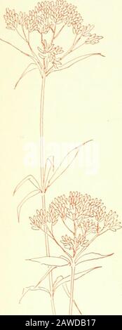 James Whitcomb Riley in prose and picture . * ?>••• The new swimming ...