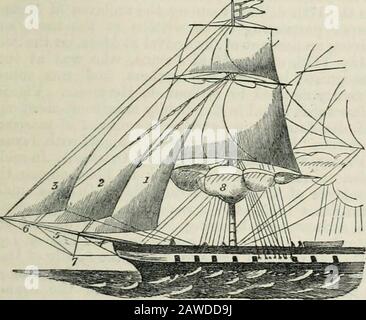 SIR HUGH ROSE Stock Photo - Alamy