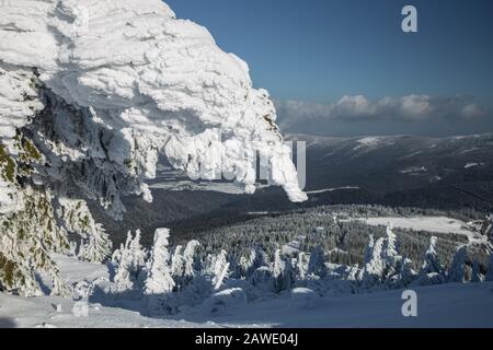 Arbermandln, Grosser Arber, Bavarian Forest, Germany Stock Photo - Alamy