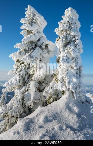 Arbermandln, Grosser Arber, Bavarian Forest, Germany Stock Photo - Alamy
