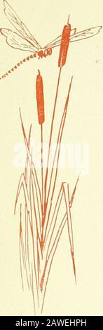 James Whitcomb Riley in prose and picture . * ?>••• The new swimming ...