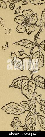 The story and song of Black Roderick . 0 Stock Photo - Alamy