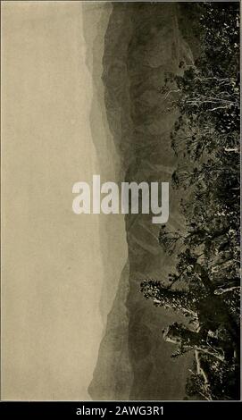 The Philippine journal of science . Fig. 3. THE HIGHEST PEAK OF THE ...