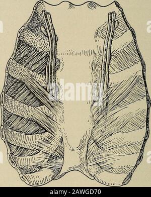 Operative surgery, for students and practitioners . ,etc., below this ...