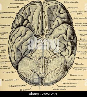 Diseases of the nervous system .. . es at various places in the region ...