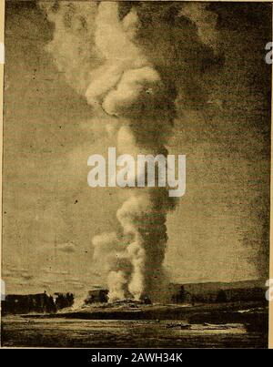 Giant Geyser after an eruption. Yellowstone National Park Stock Photo ...