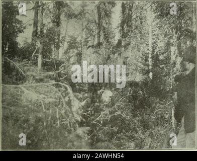 Hudson's Bay railway route via Missanabie and valley of Moose River ...