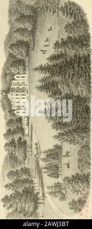 The Bulkeley family; or the descendants of RevPeter Bulkeley, who ...