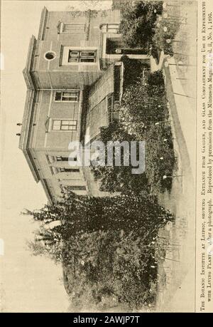 GuilHenrde Vriese Protrepticus ad commilitones, Athenaei Illustris ...