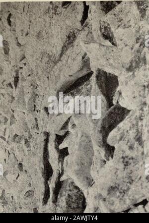 Unknown Mongolia : a record of travel and exploration in north-west ...