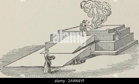 A dictionary of the Bible.. . Altar of Burnt-Offering in the Tabernacle ...